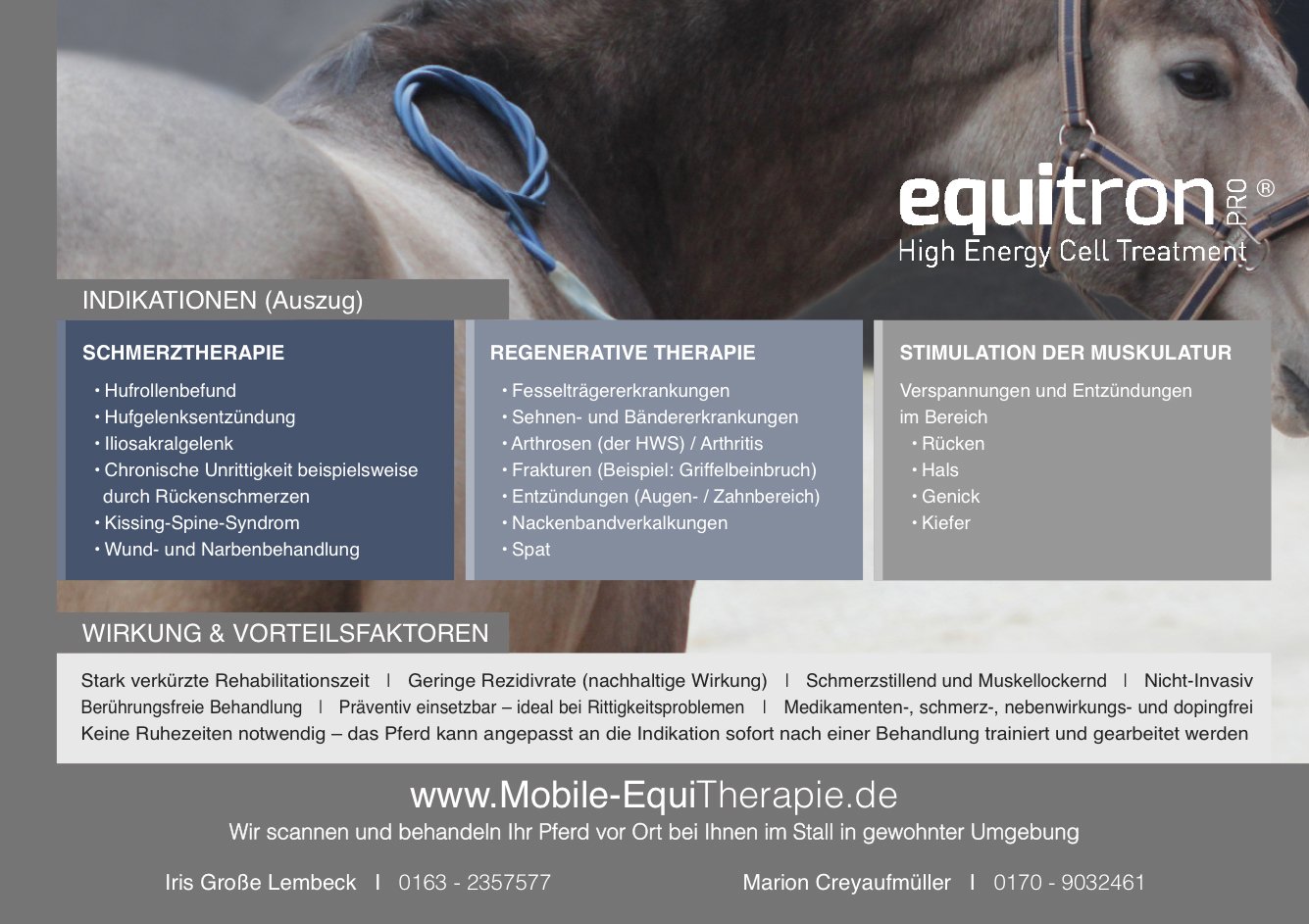 Mobile-EquiTherapie mit equitron-pro - Wir scannen und behandeln Ihr ...