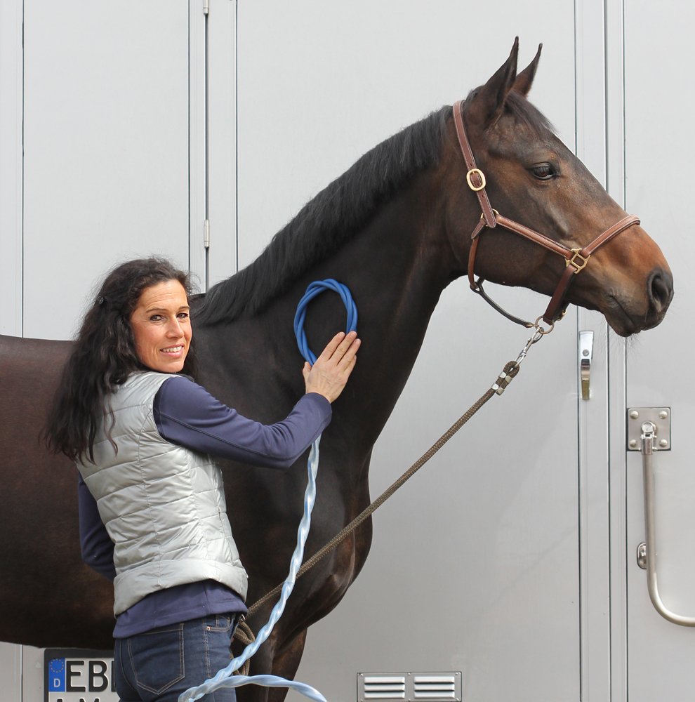 Mobile-EquiTherapie mit equitron-pro - Wir scannen und behandeln Ihr ...