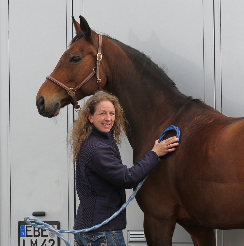 Mobile-EquiTherapie mit equitron-pro - Wir scannen und behandeln Ihr ...