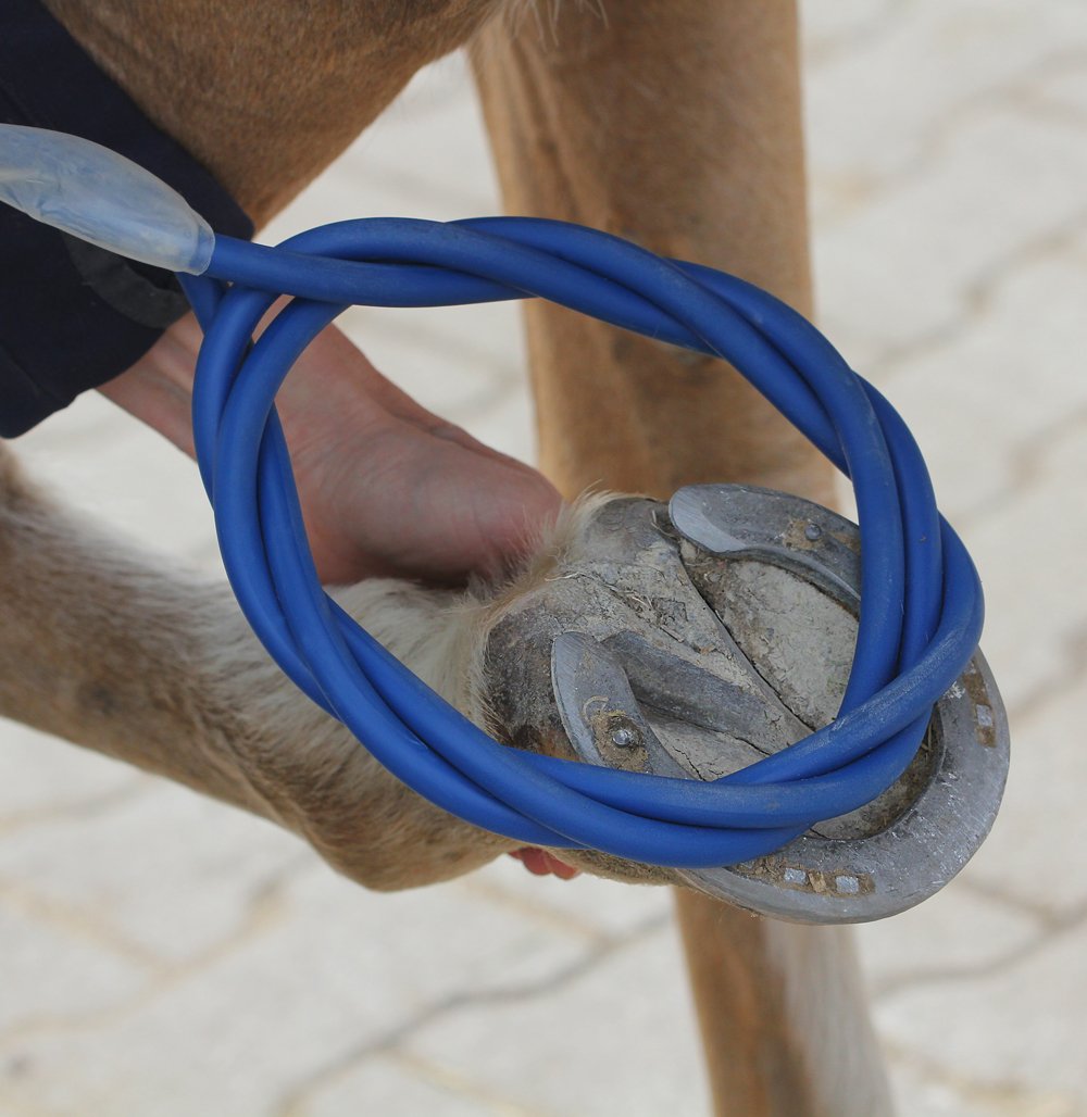 Mobile-EquiTherapie mit equitron-pro - Wir scannen und behandeln Ihr ...