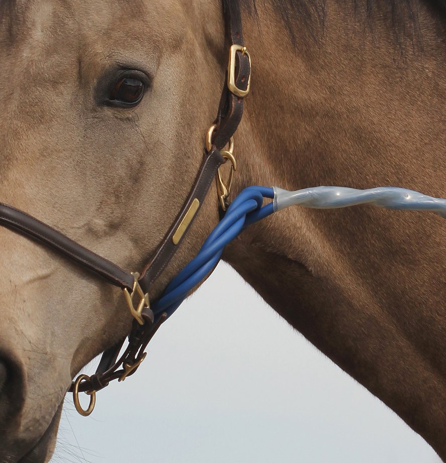 Mobile-EquiTherapie mit equitron-pro - Wir scannen und behandeln Ihr ...