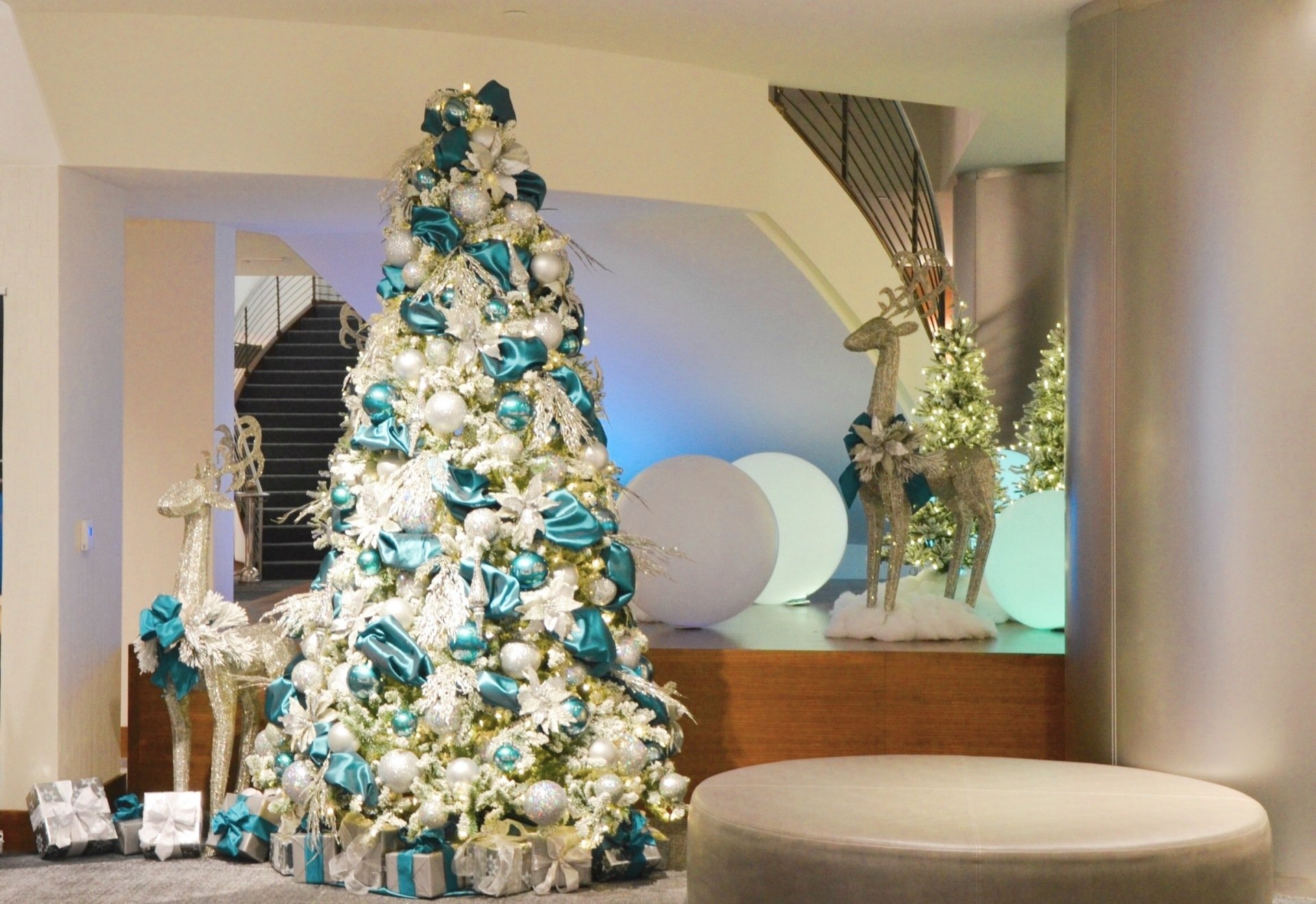 Christmas Specialists Photo Gallery