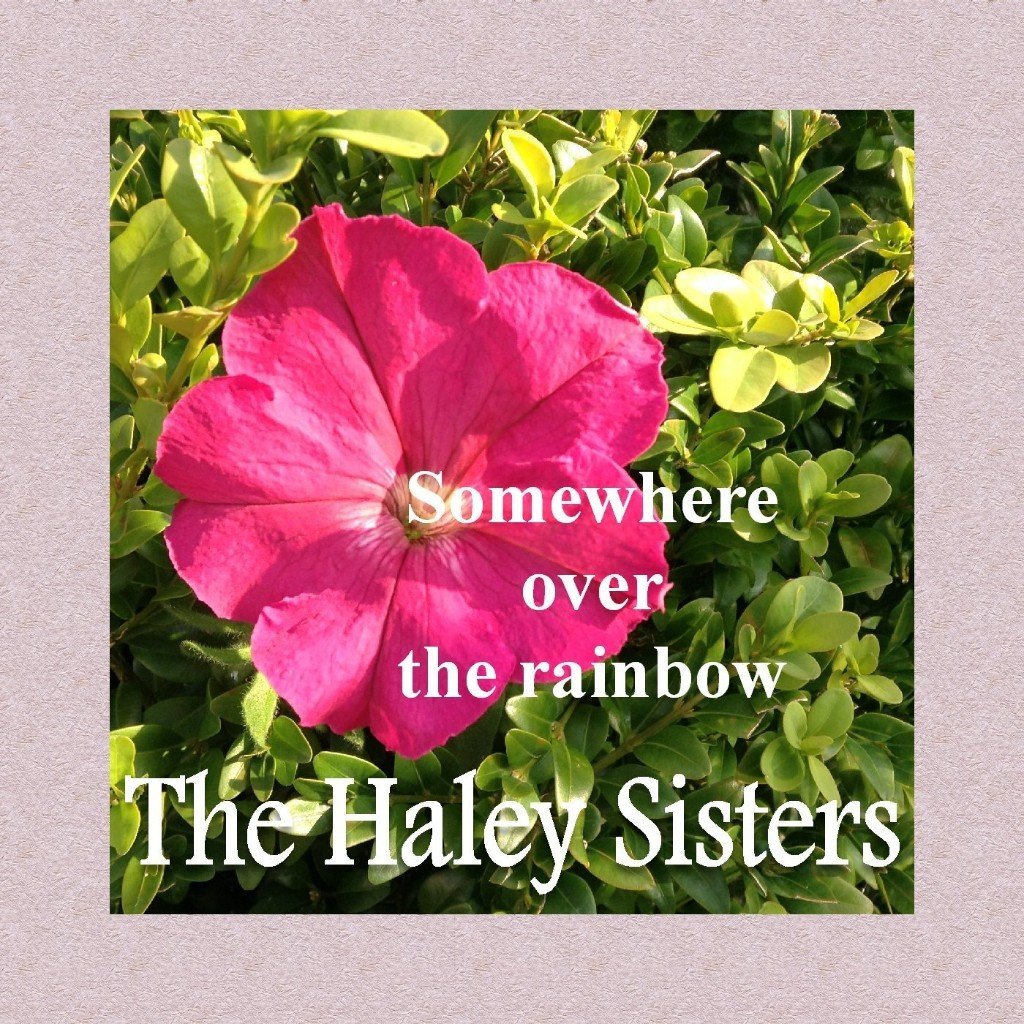The Haley Sisters Gallery