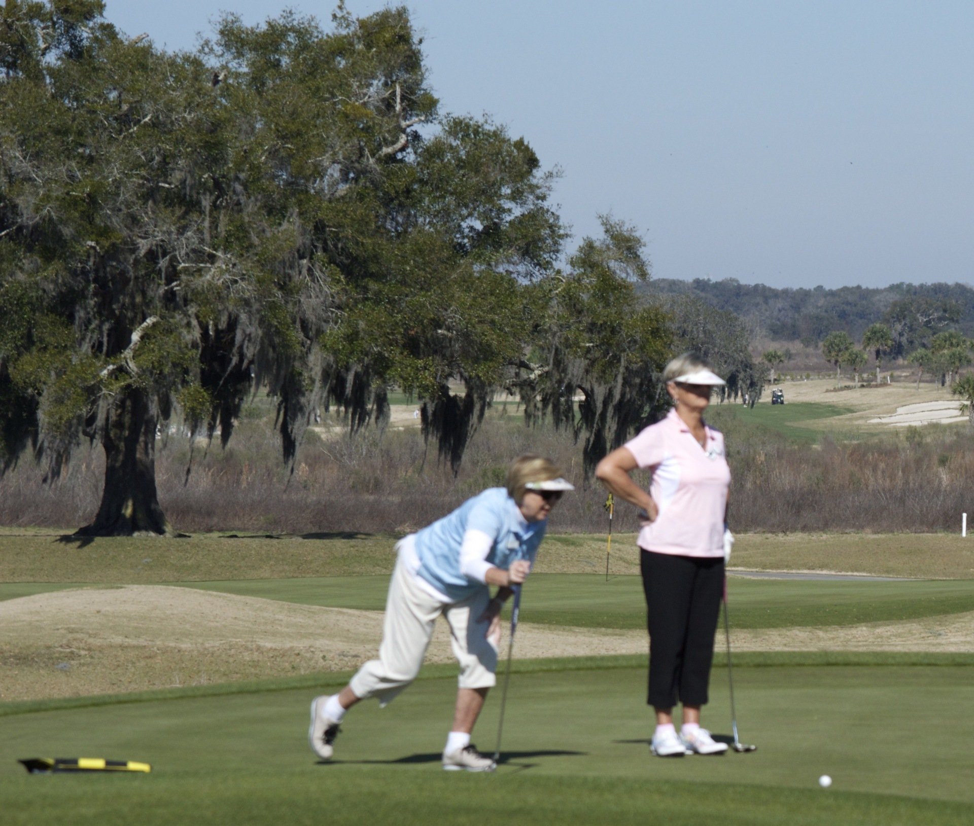 Home [www.scladiesgolf.com]