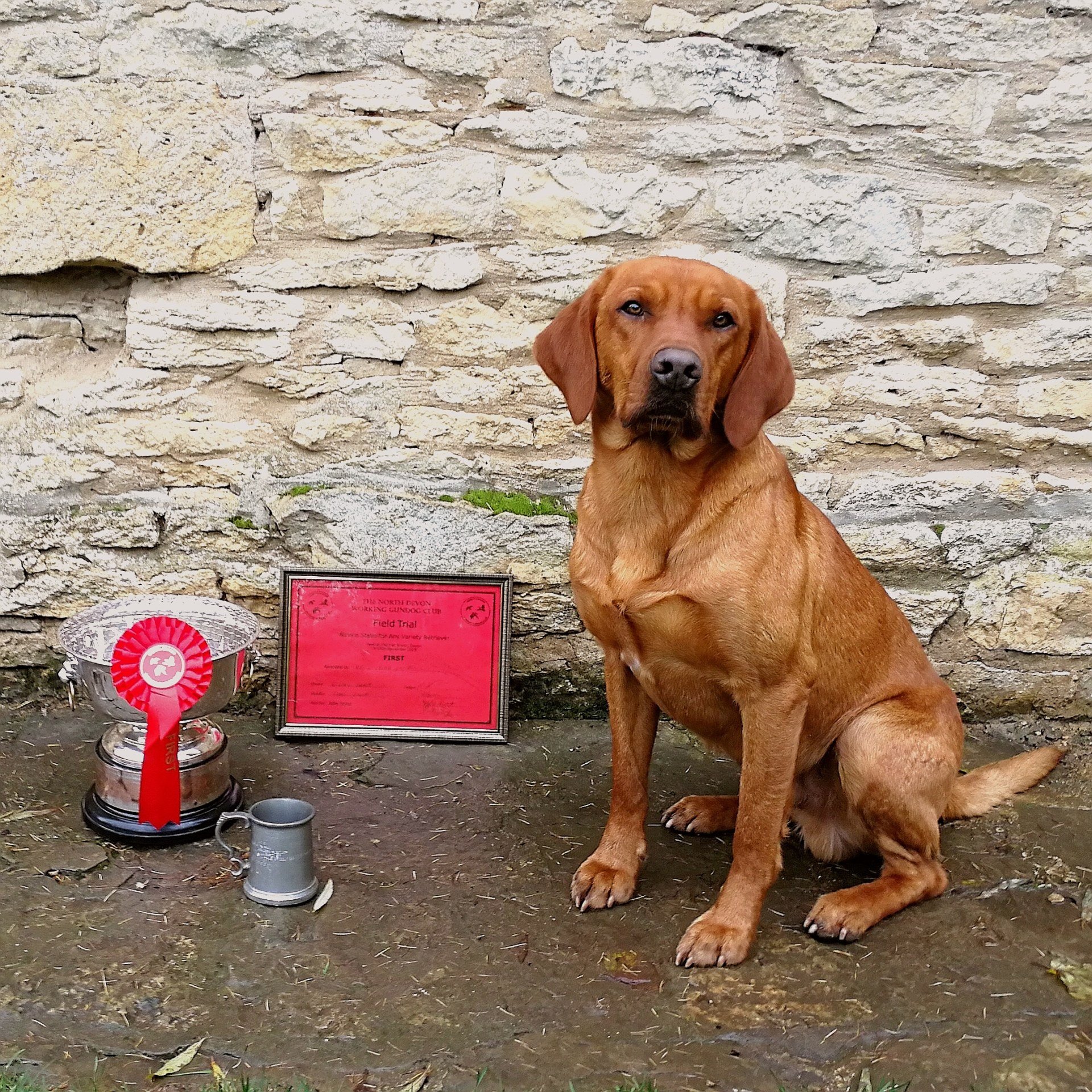 Arcklebear Working Dog Food and Gundog Trainer
