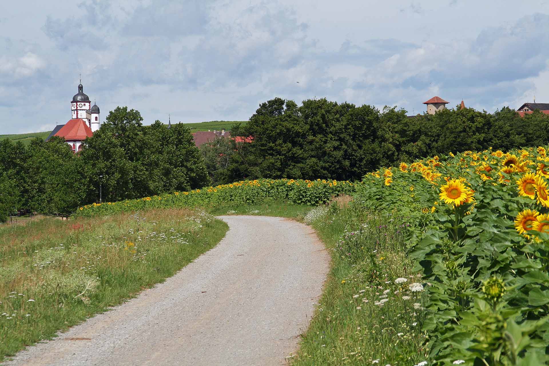Reisen mit Hund und Wohnmobil durch Deutschland