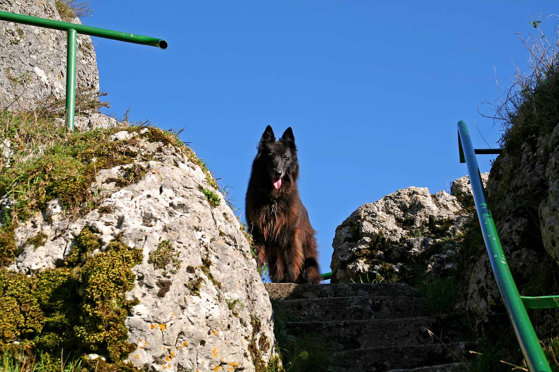 Mit Wohnmobil und Hund durch die Fränkische Schweiz reisen.
