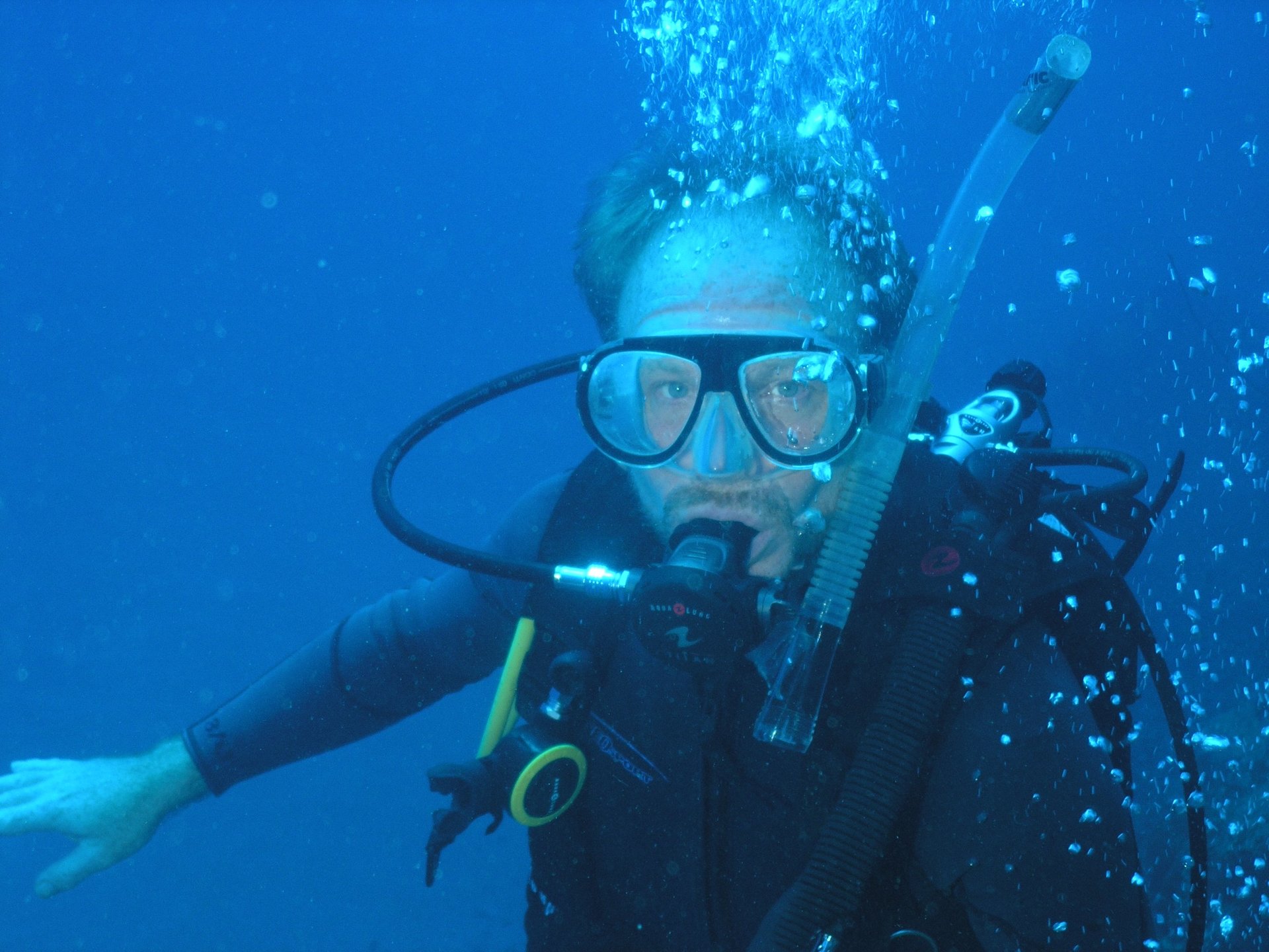 scubalife-florida.com