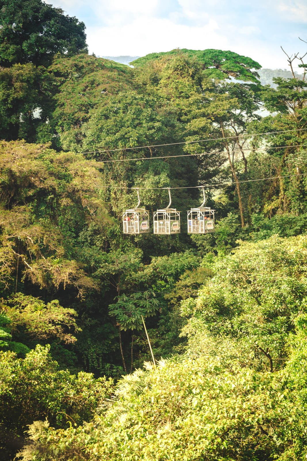 Condor Verde: DMC Mexico, Costa Rica, Guatemala & Venezuela