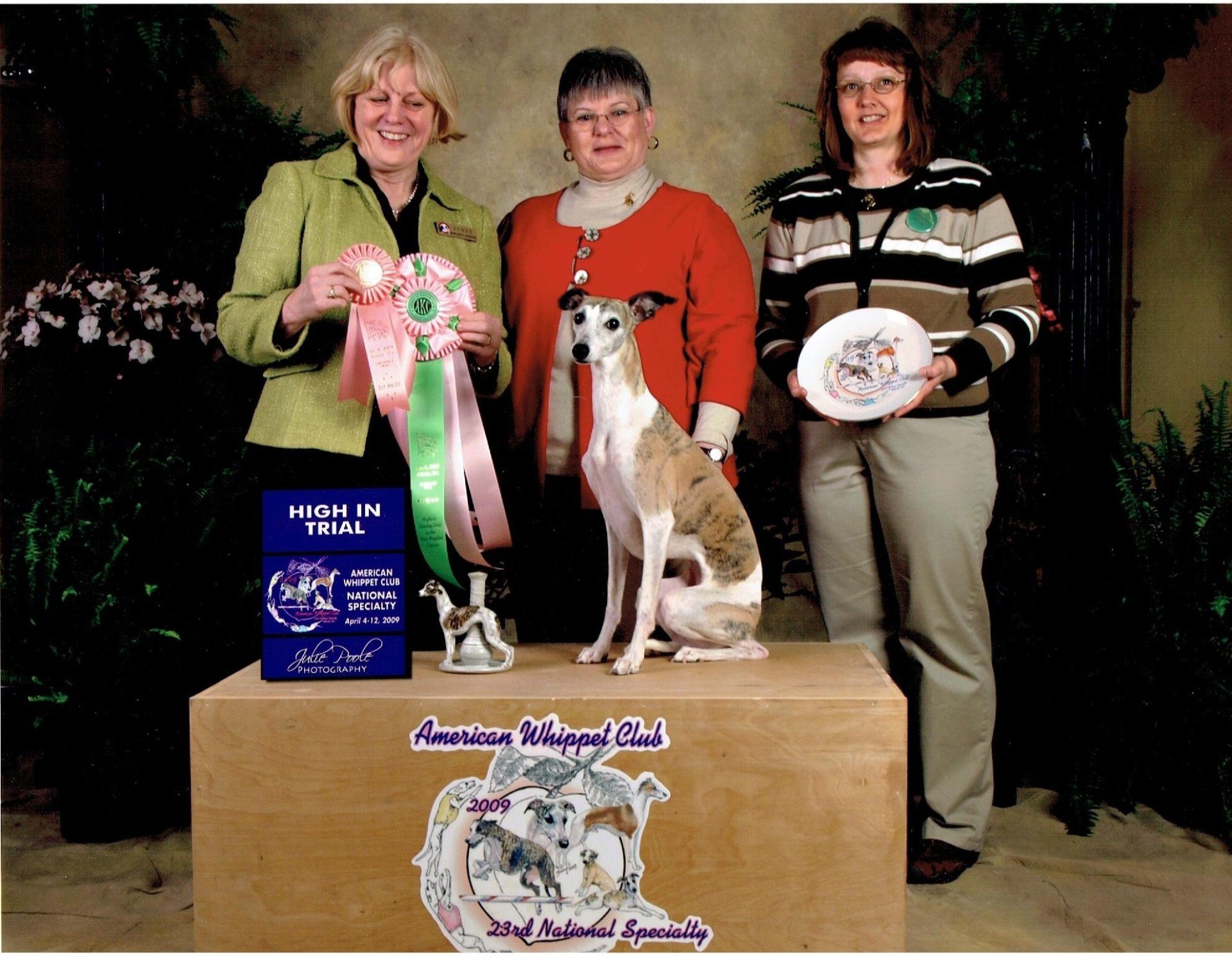 Mystic Run Whippets-Accomplishments