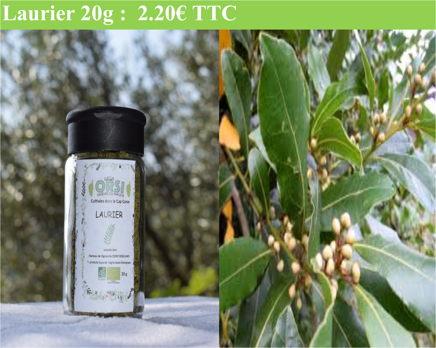 Bienvenue chez Casa Orsi