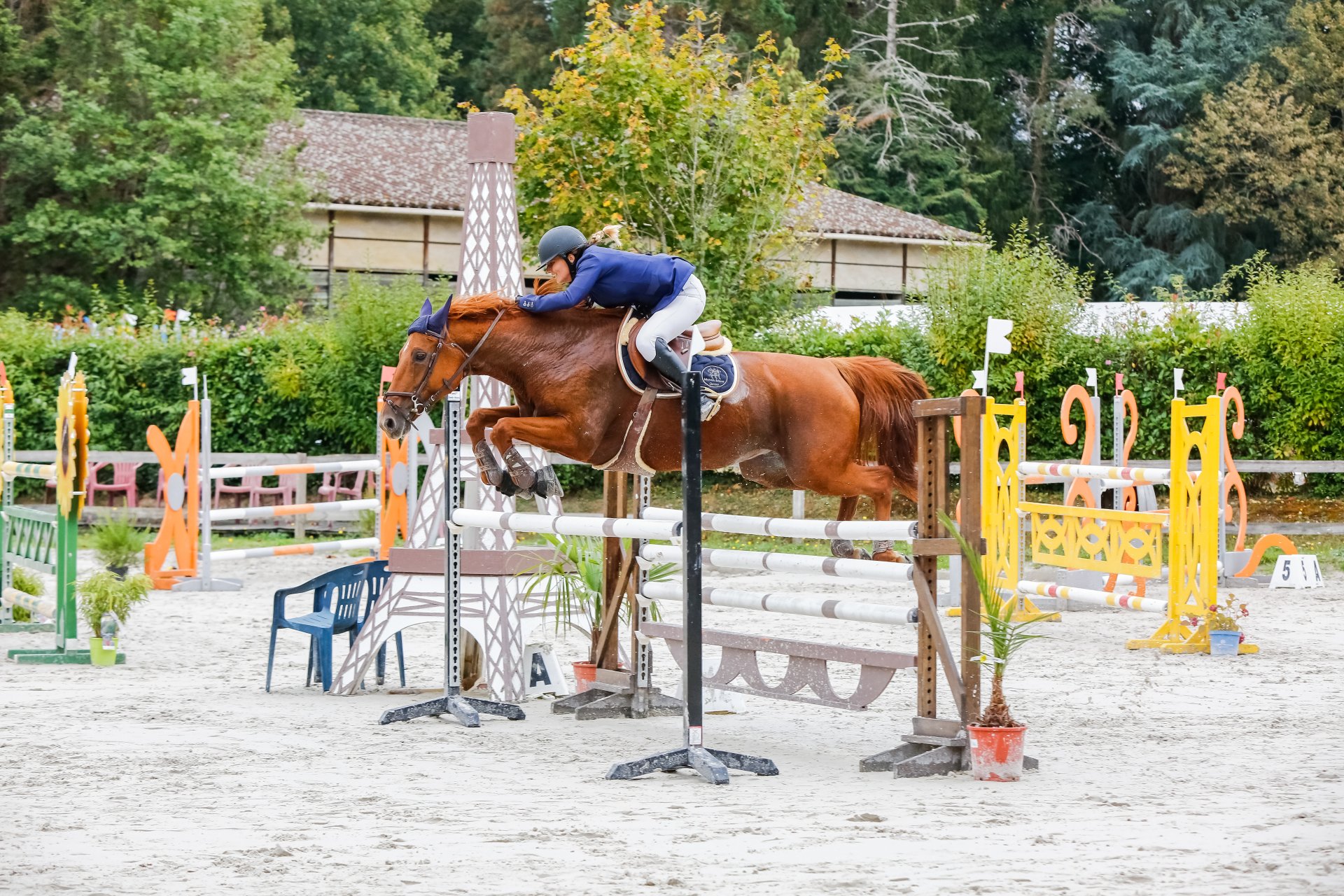 Photos concours équestres Hugo Mauvisseau Agence photo