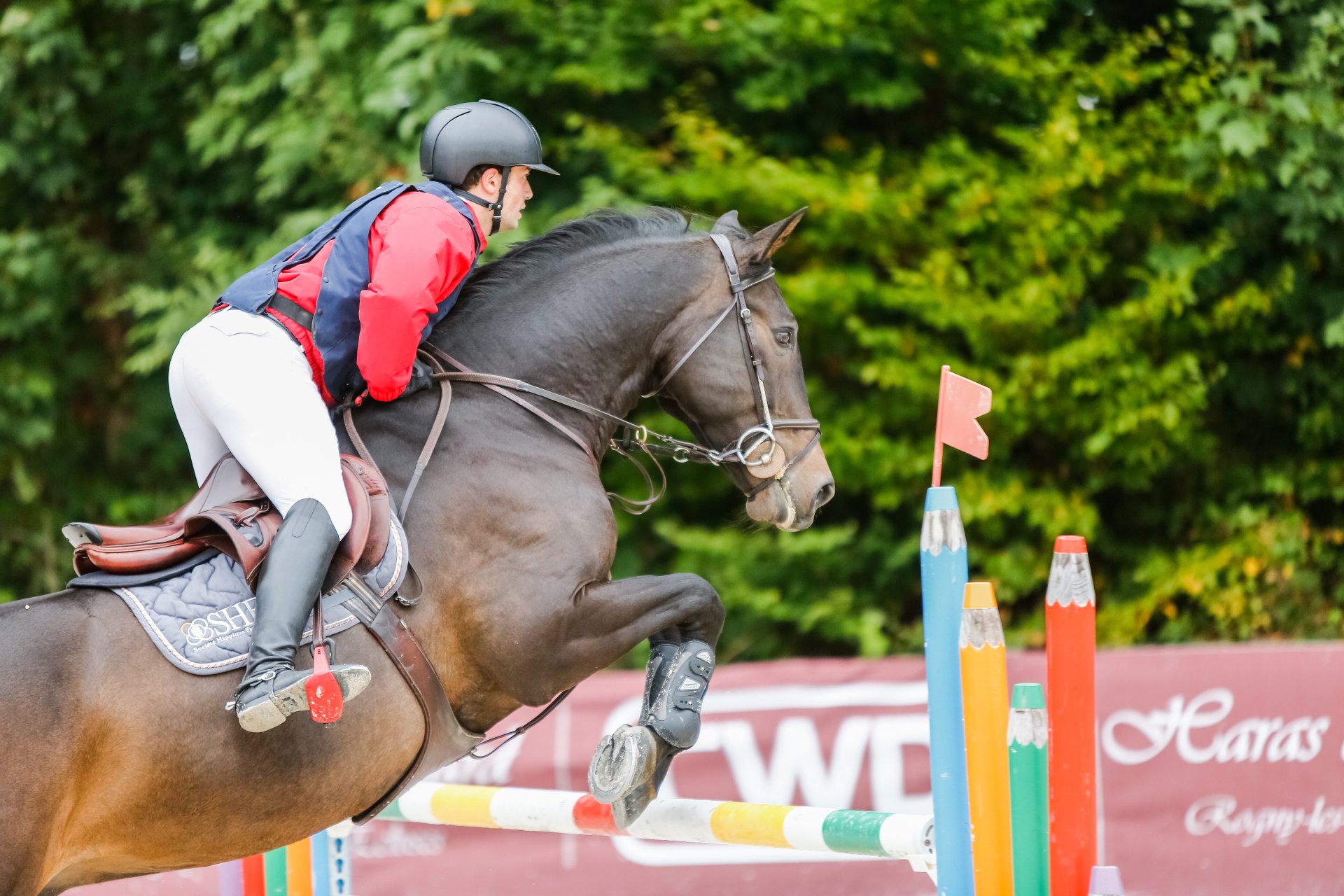 Photos concours équestres Hugo Mauvisseau Agence photo