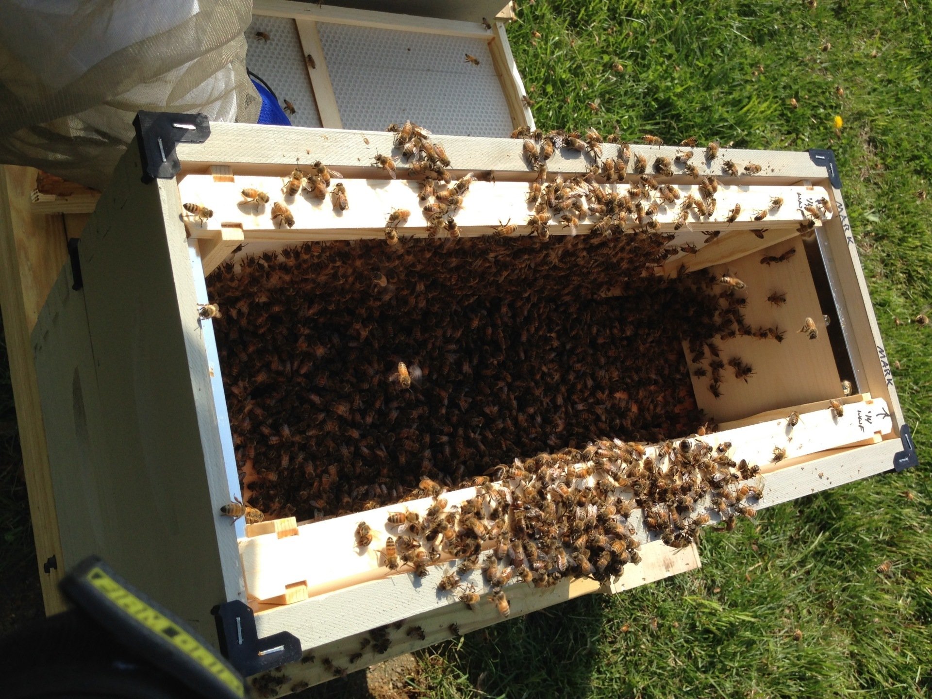 Basking Bee Farm And Apiary 