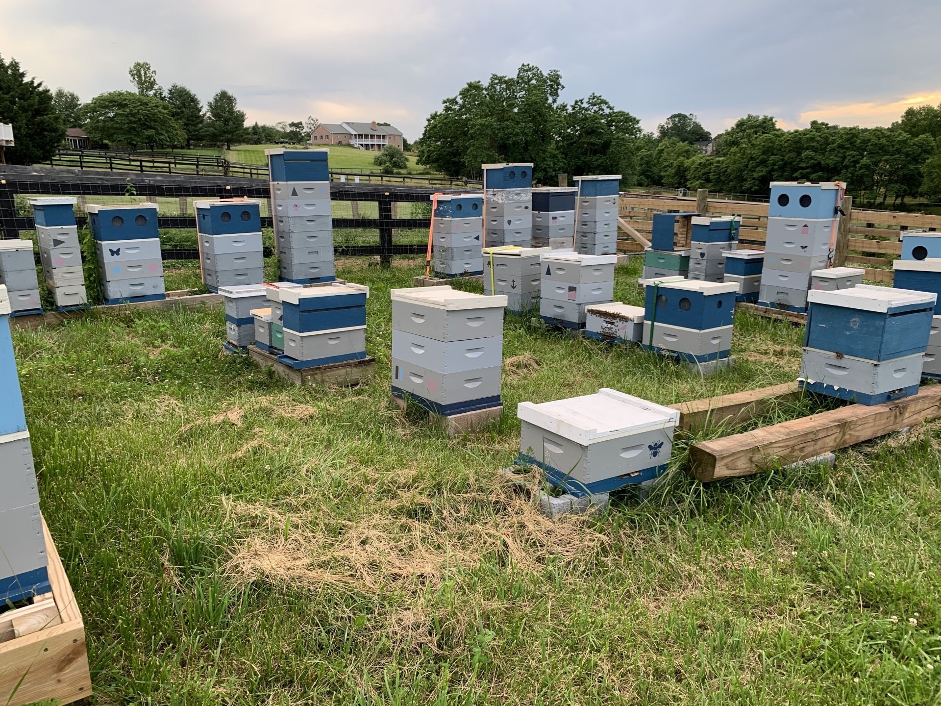 Basking Bee Farm and Apiary