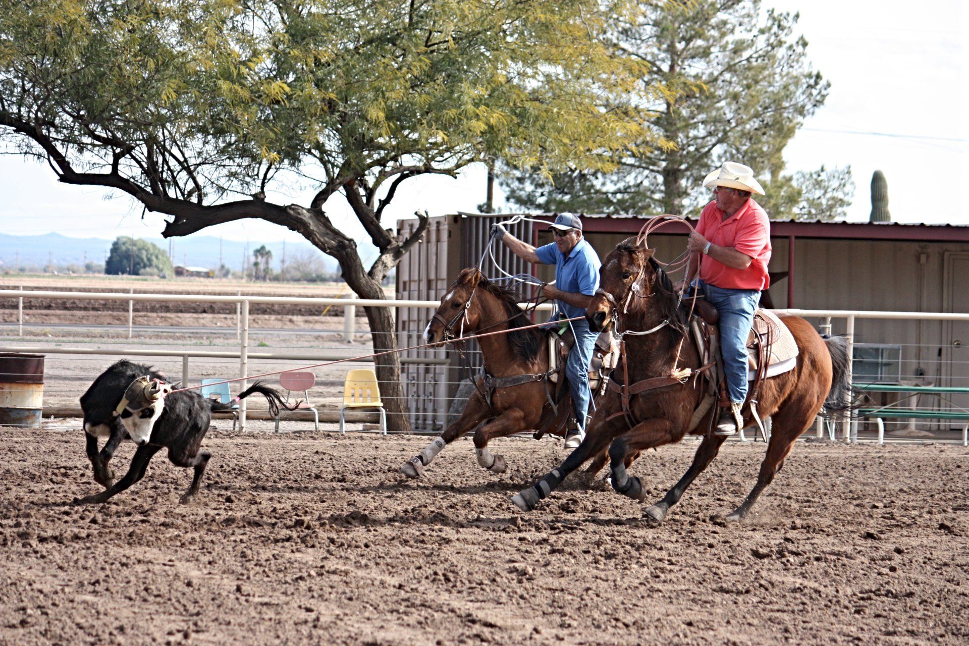 Lonestar Arizona's RV Team Roping Camp & Ranch Sorting