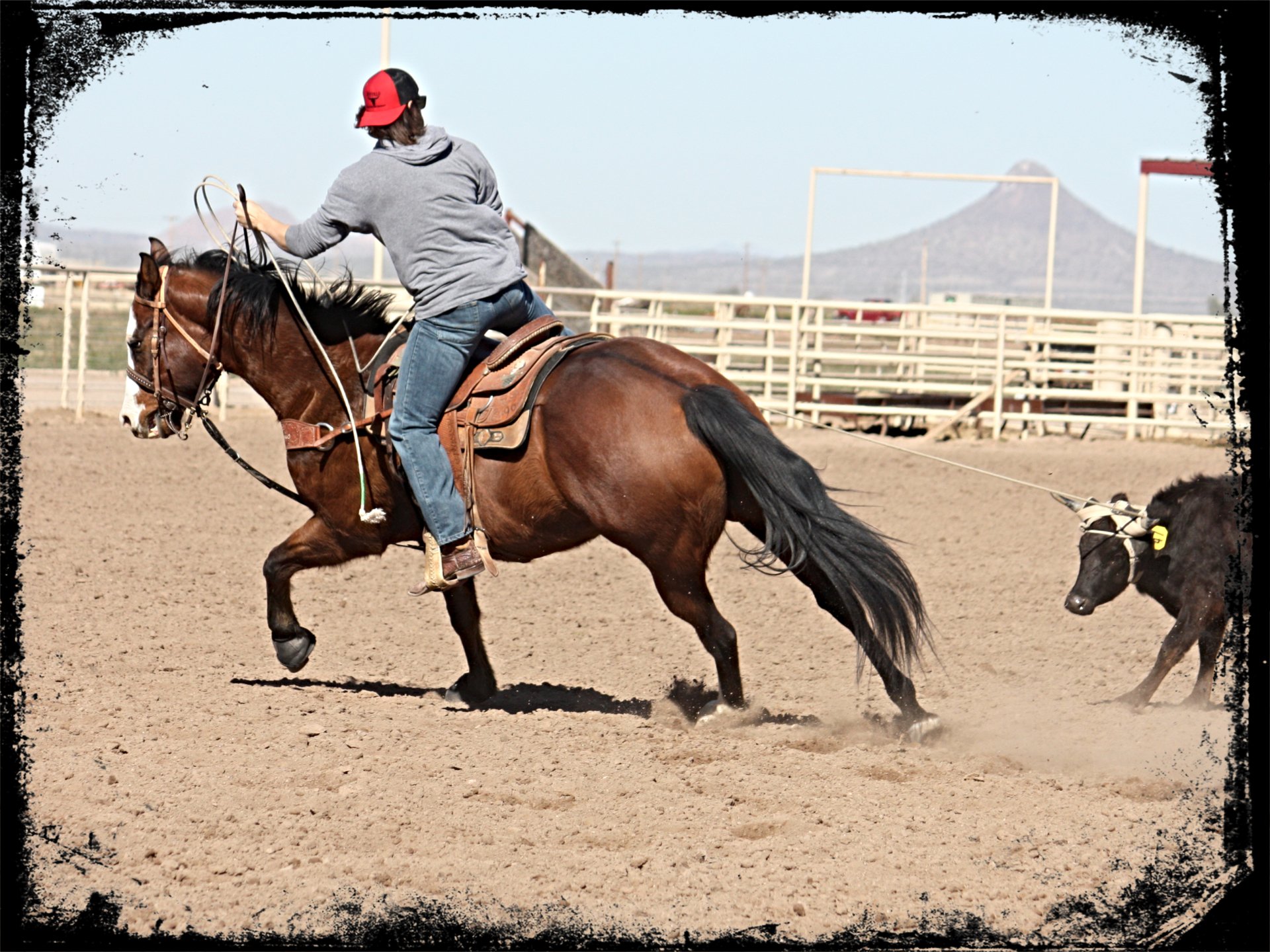Lonestar Arizona's RV Team Roping Camp & Ranch Sorting