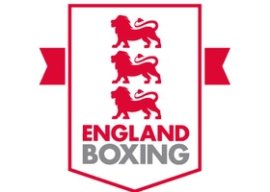 Home [www.dnaboxingschoolofexcellence.co.uk]