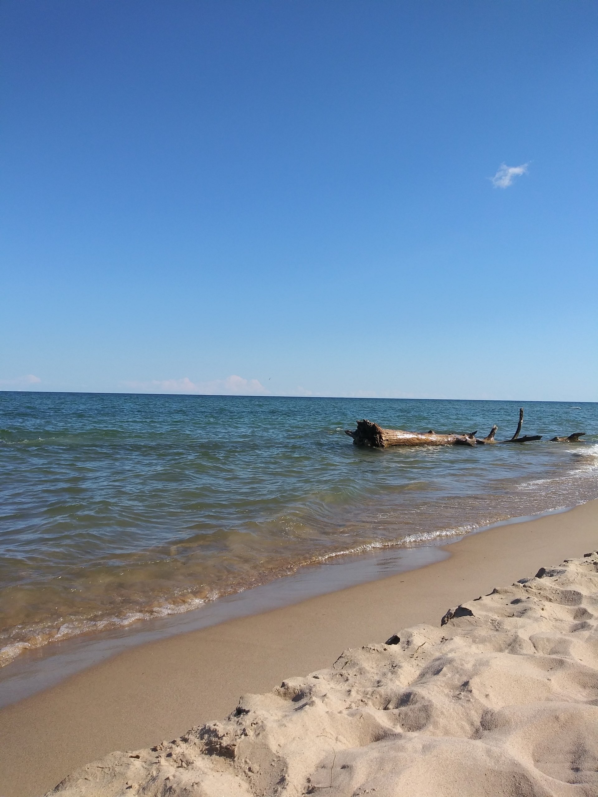 HOME [www.bluehorizoncourt.com]