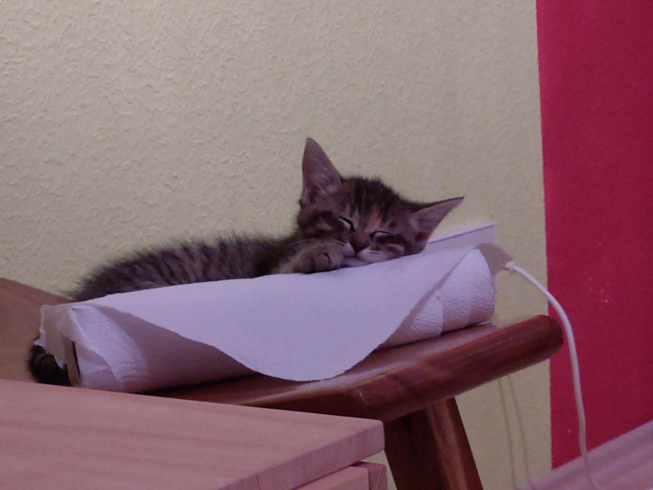 Wie man sich bettet, so liegt man