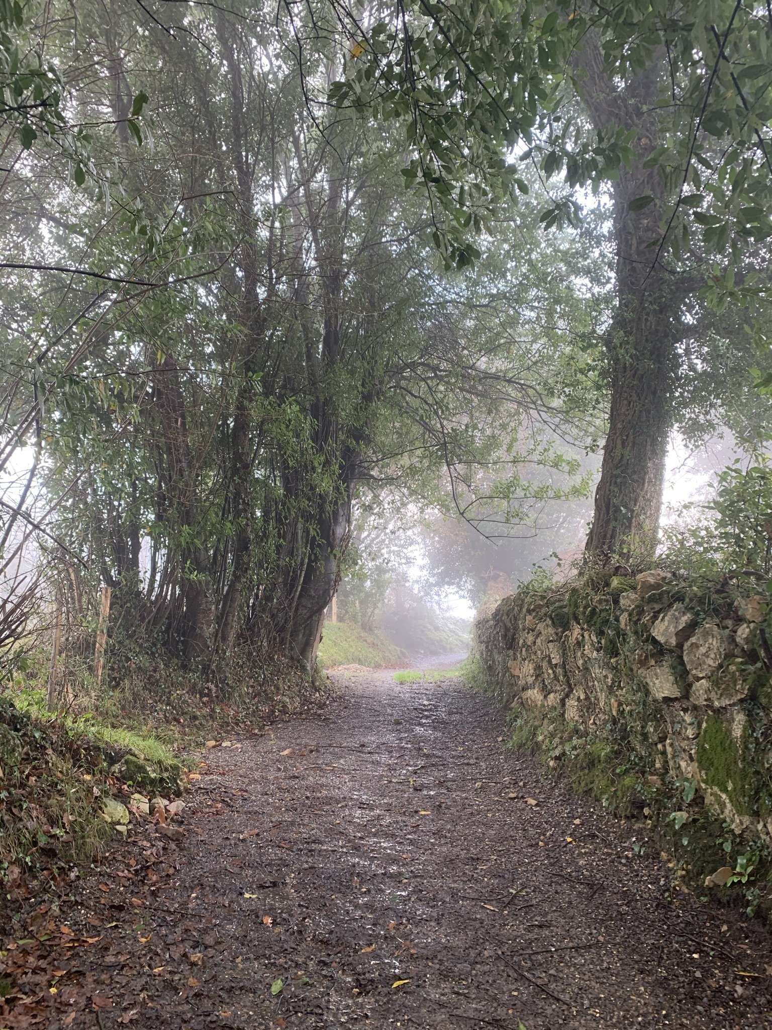 Asturias Infiesto: Belleza Natural del Norte de España