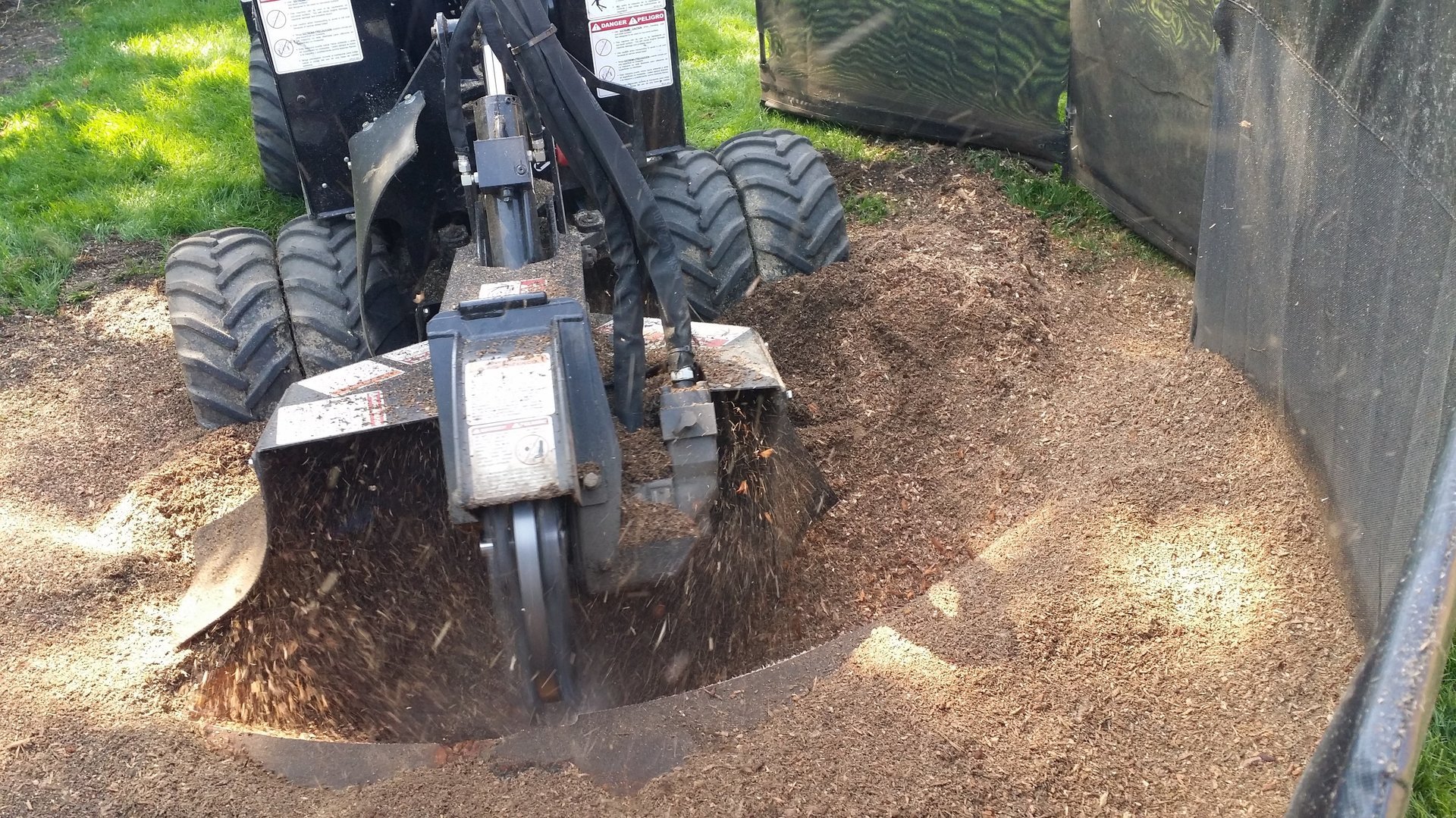 Stump Beaver - Professional Stump Grinding