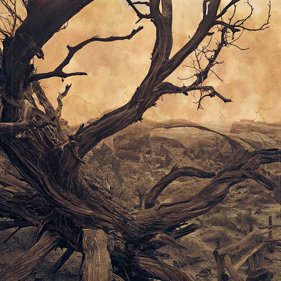 Patrick Paul Rene - Fine Art Photography