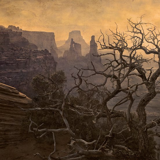 Patrick Paul Rene - Fine Art Photography