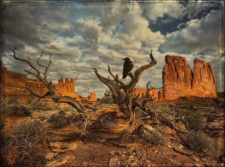 Patrick Paul Rene - Fine Art Photography