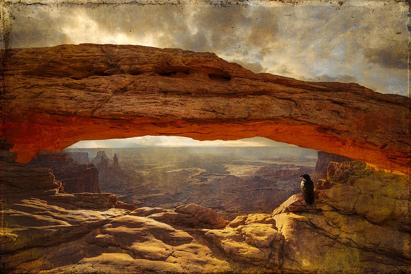 Patrick Paul Rene - Fine Art Photography