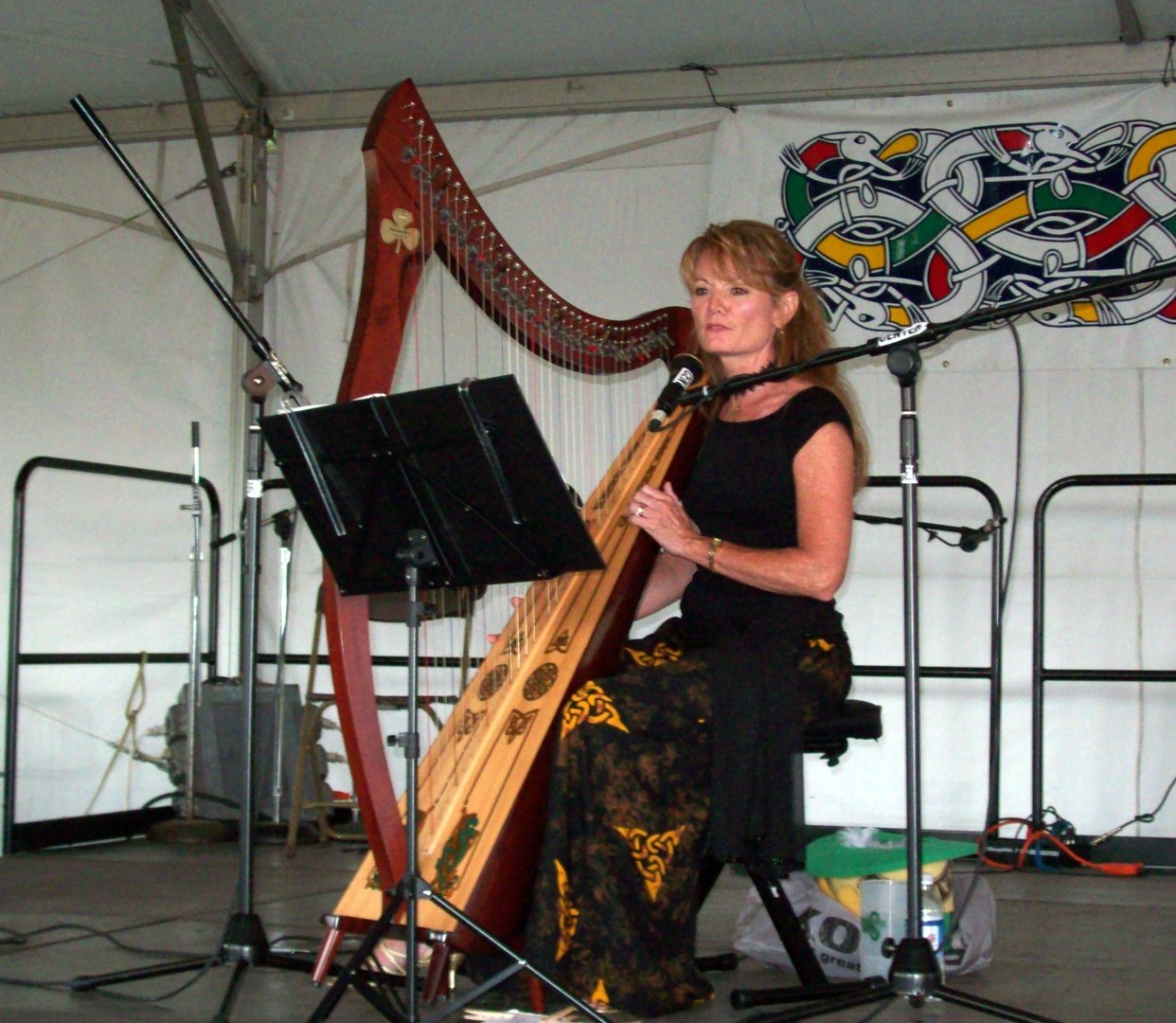 Shari Sarazin Harp & Song The Music page