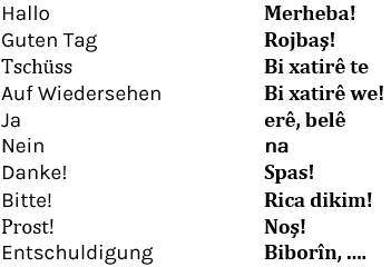Kurdisch lernen online – Sprachkurs & Informationen | Fremdsprachentalent