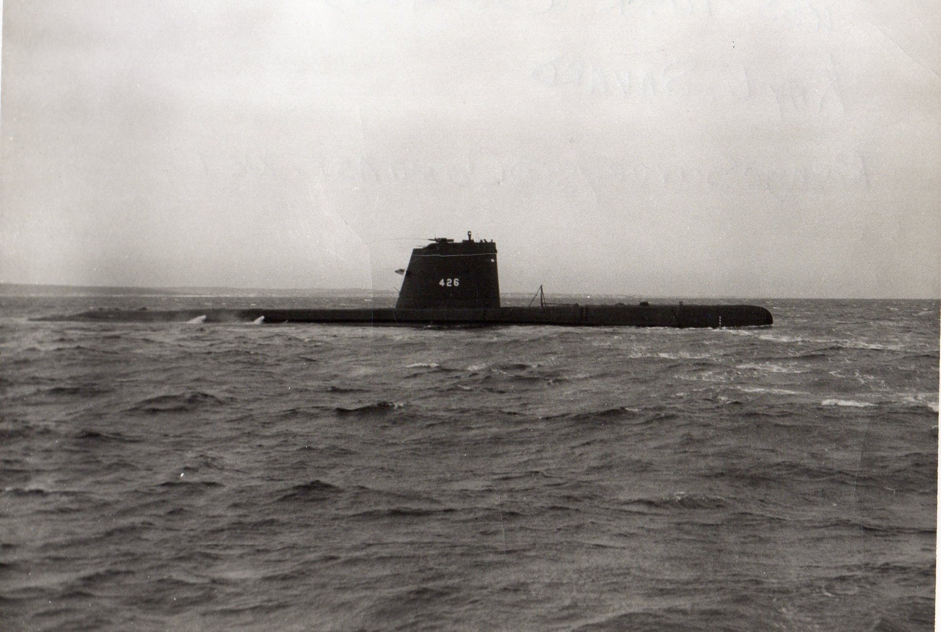 Home [www.rockymountainsubvets.com]