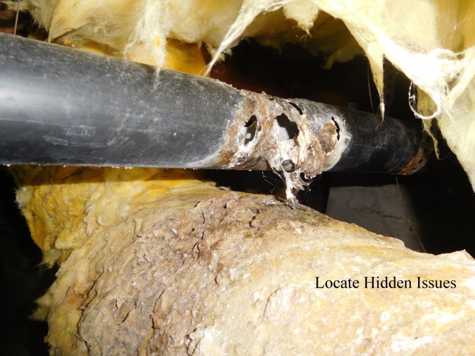 Pre-listing Inspections| Gig Harbor, WA | ASHCO Home Inspections