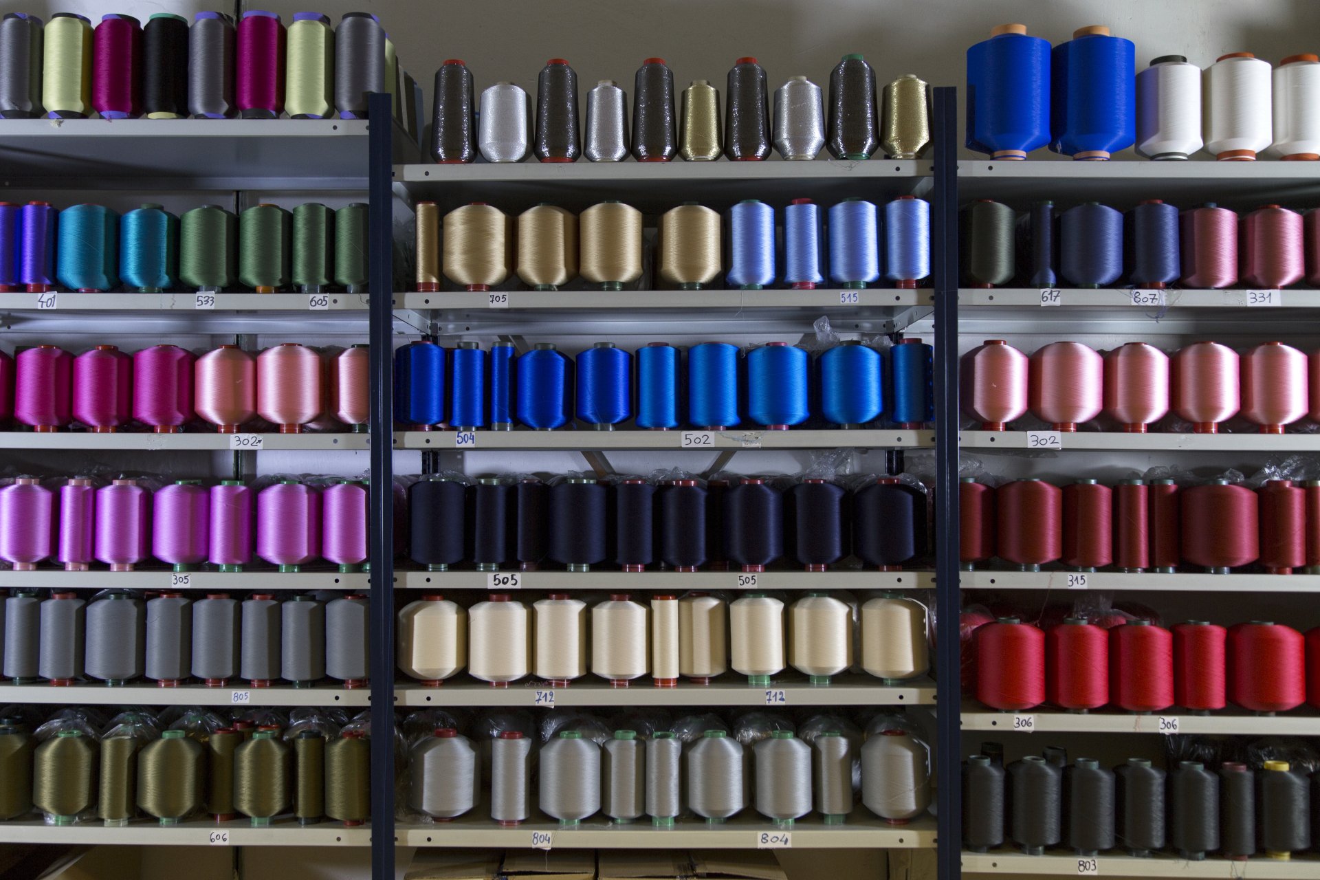 Clio Bas et Collants