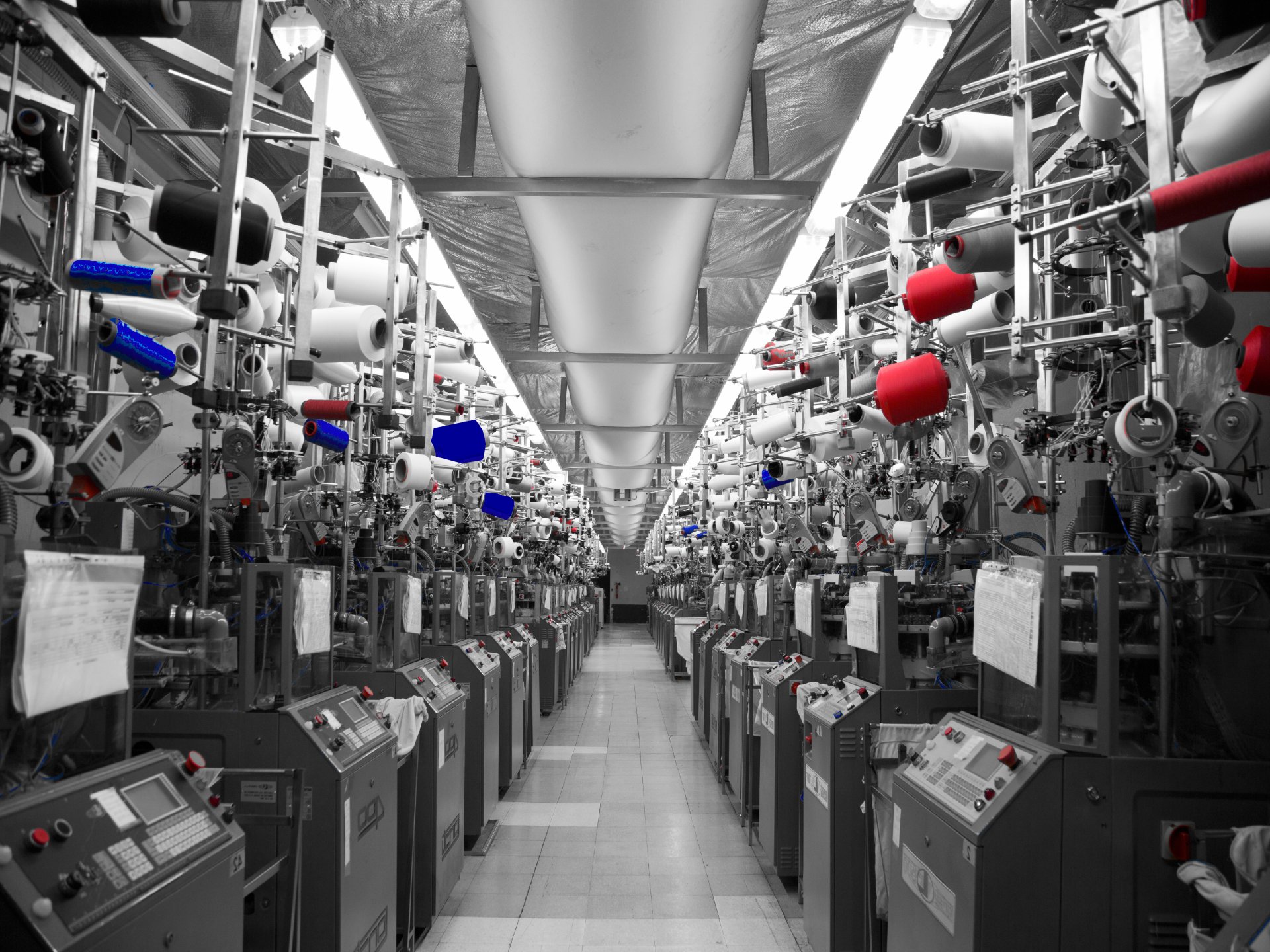 Clio Bas et Collants