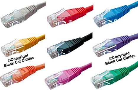 Black Cat Cables