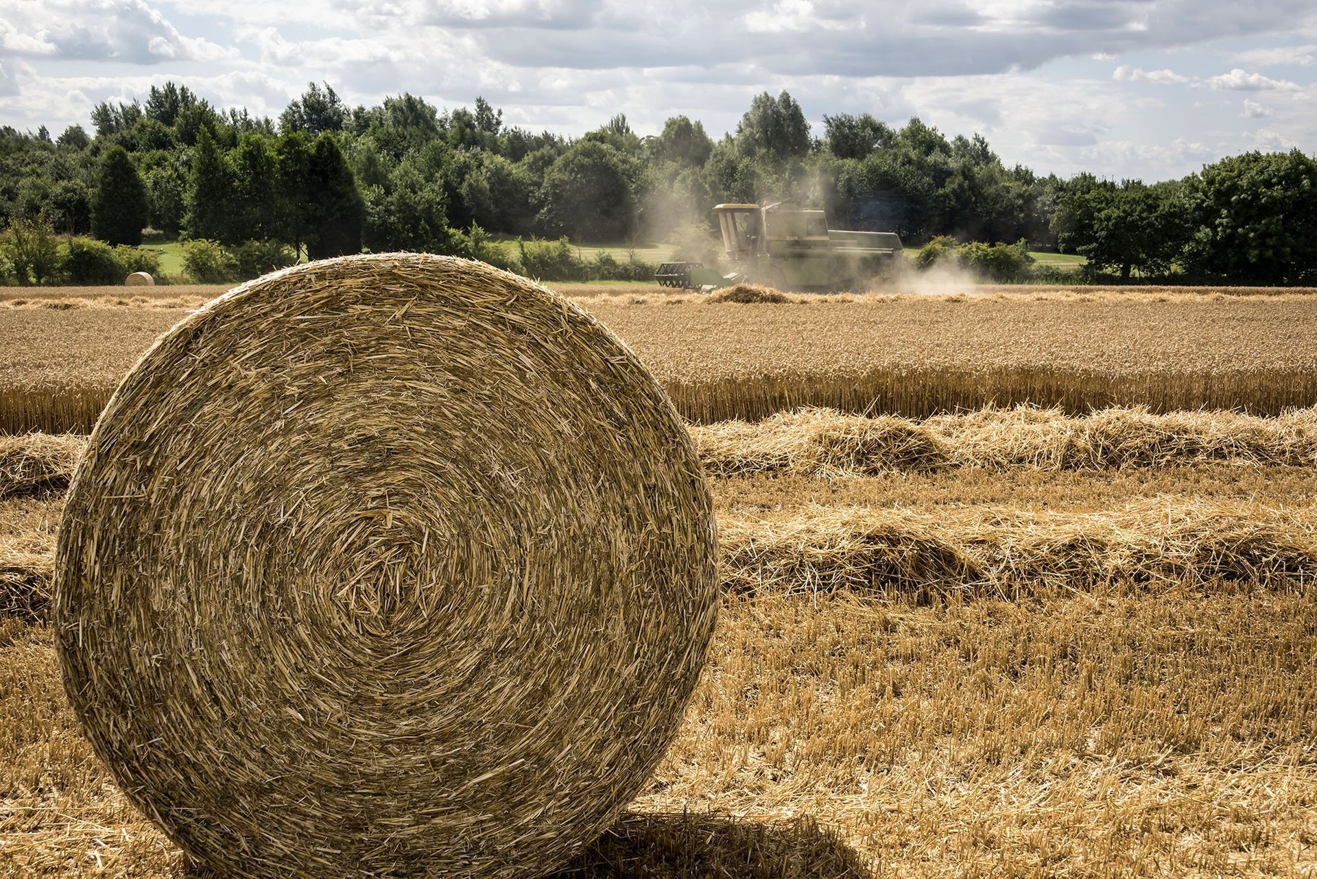 Making hay