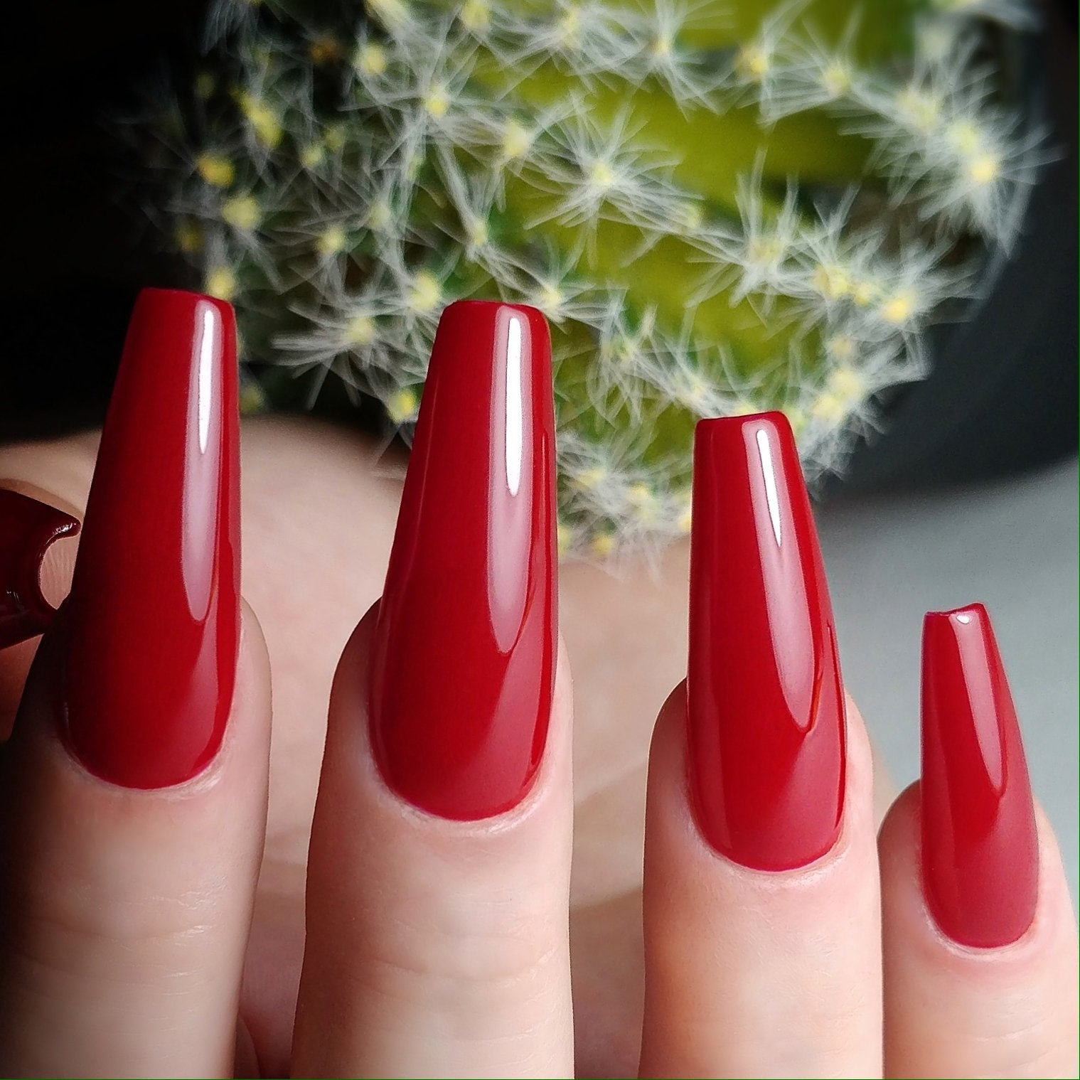 Extensions d'ongles en gel à Nice - Chablon - Capsules - Resine