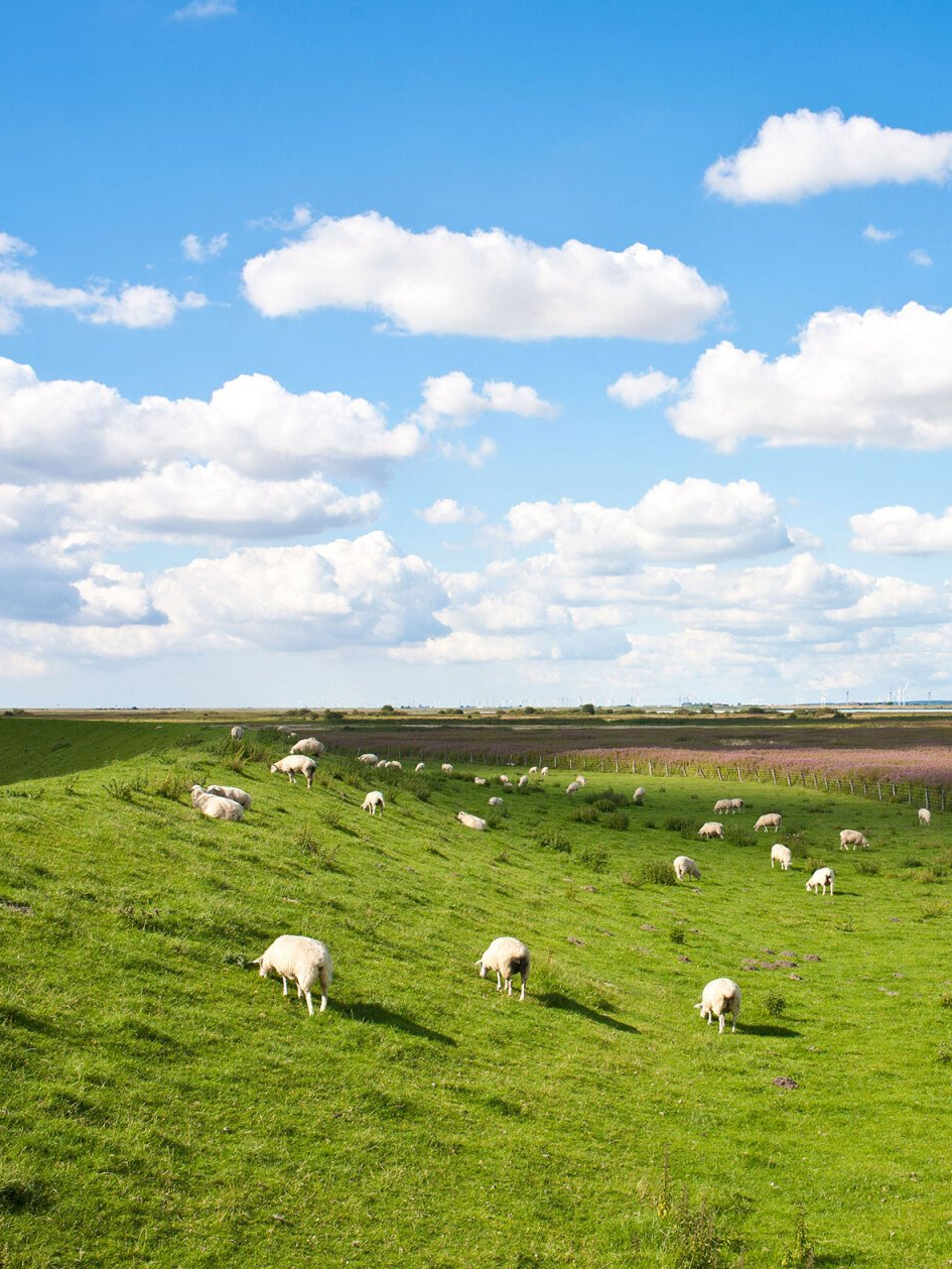 Nordseeheilbad Nordstrand