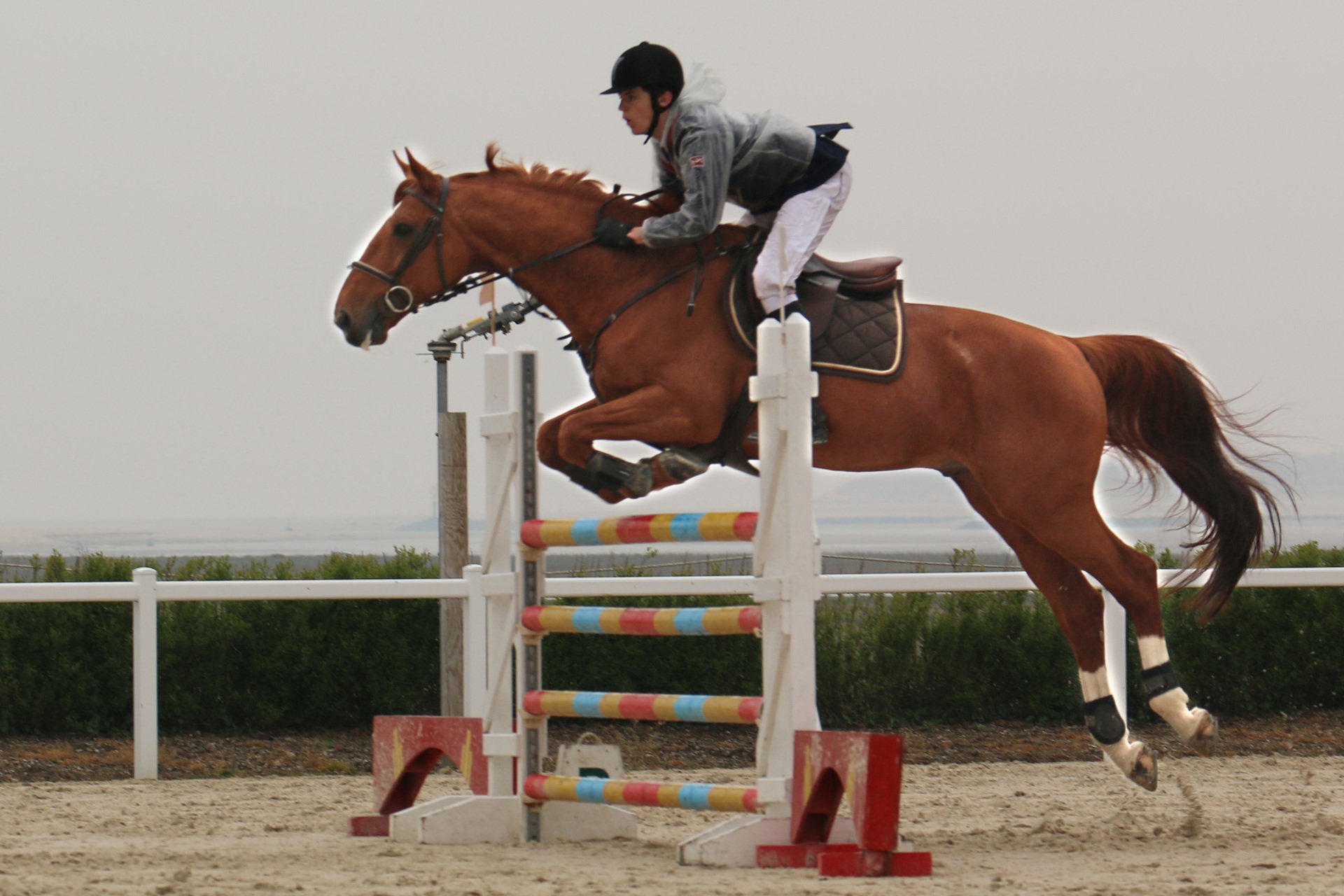 Le Touquet - Concours équestre