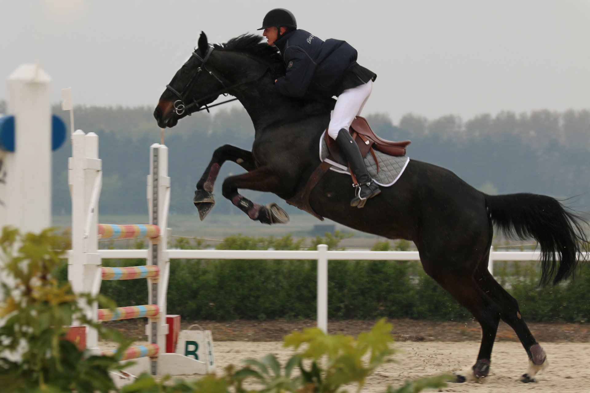 Le Touquet - Concours équestre