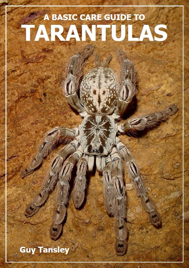lovetarantulas.com Downloadable books