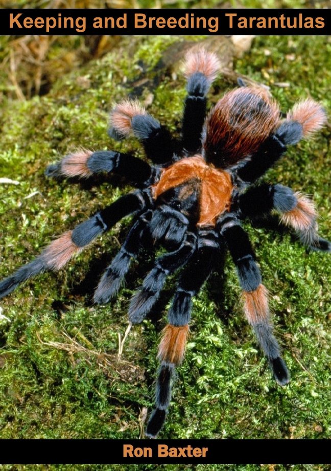 lovetarantulas.com Downloadable books