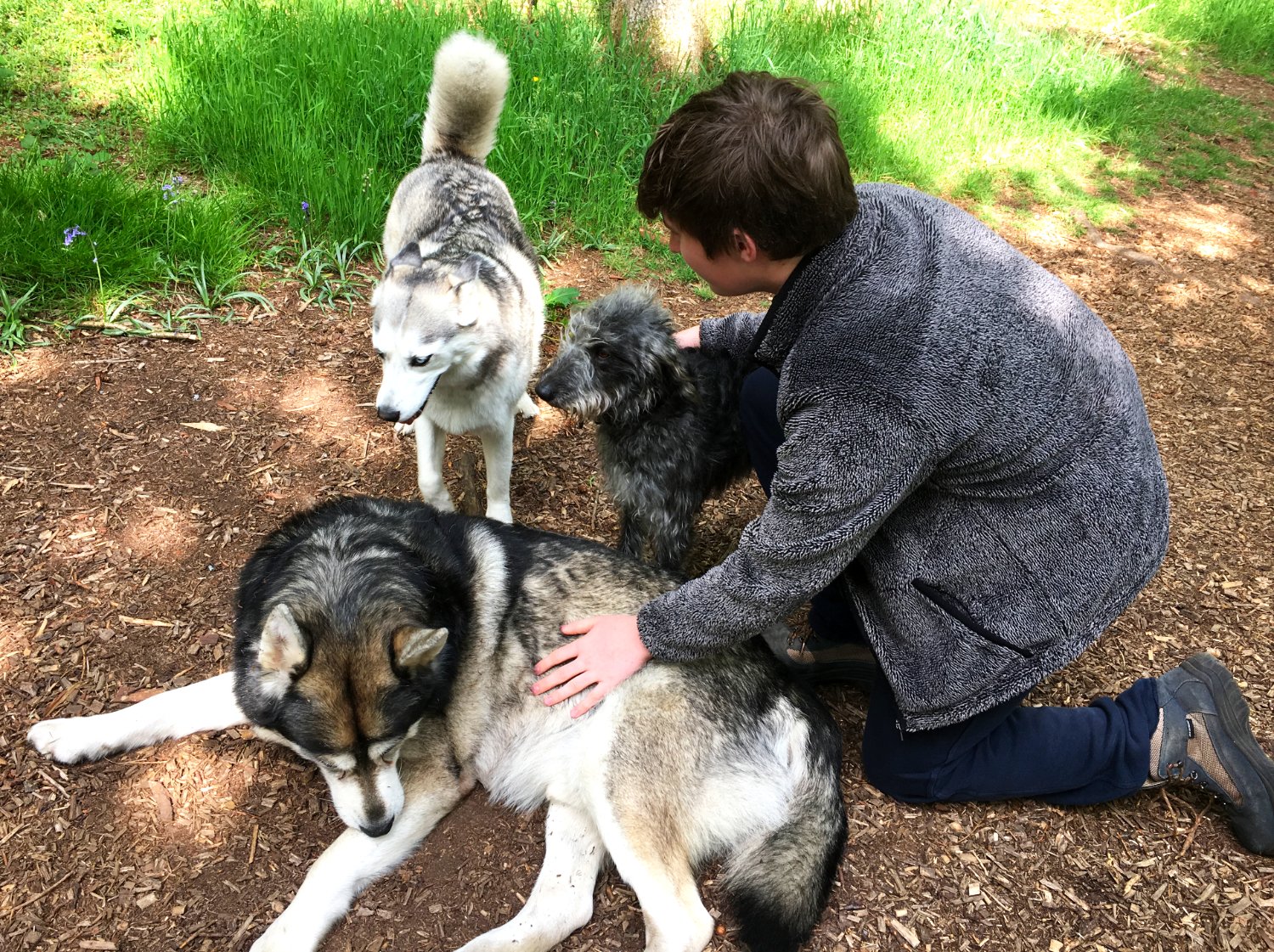 Running Deer School Qualifications, Exams and Awards results andOfsted ...