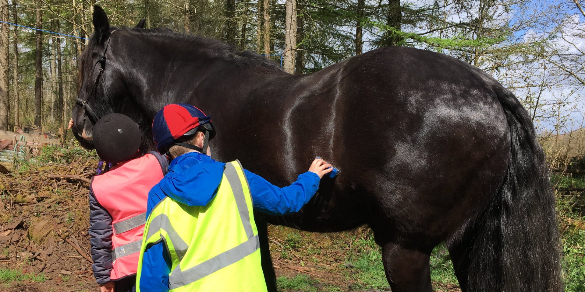 Equine Assisted Intervention