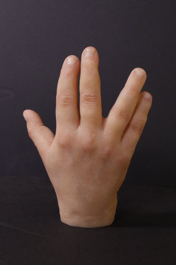 Prosthetic Bodies & Limbs for Hire and Custom makes