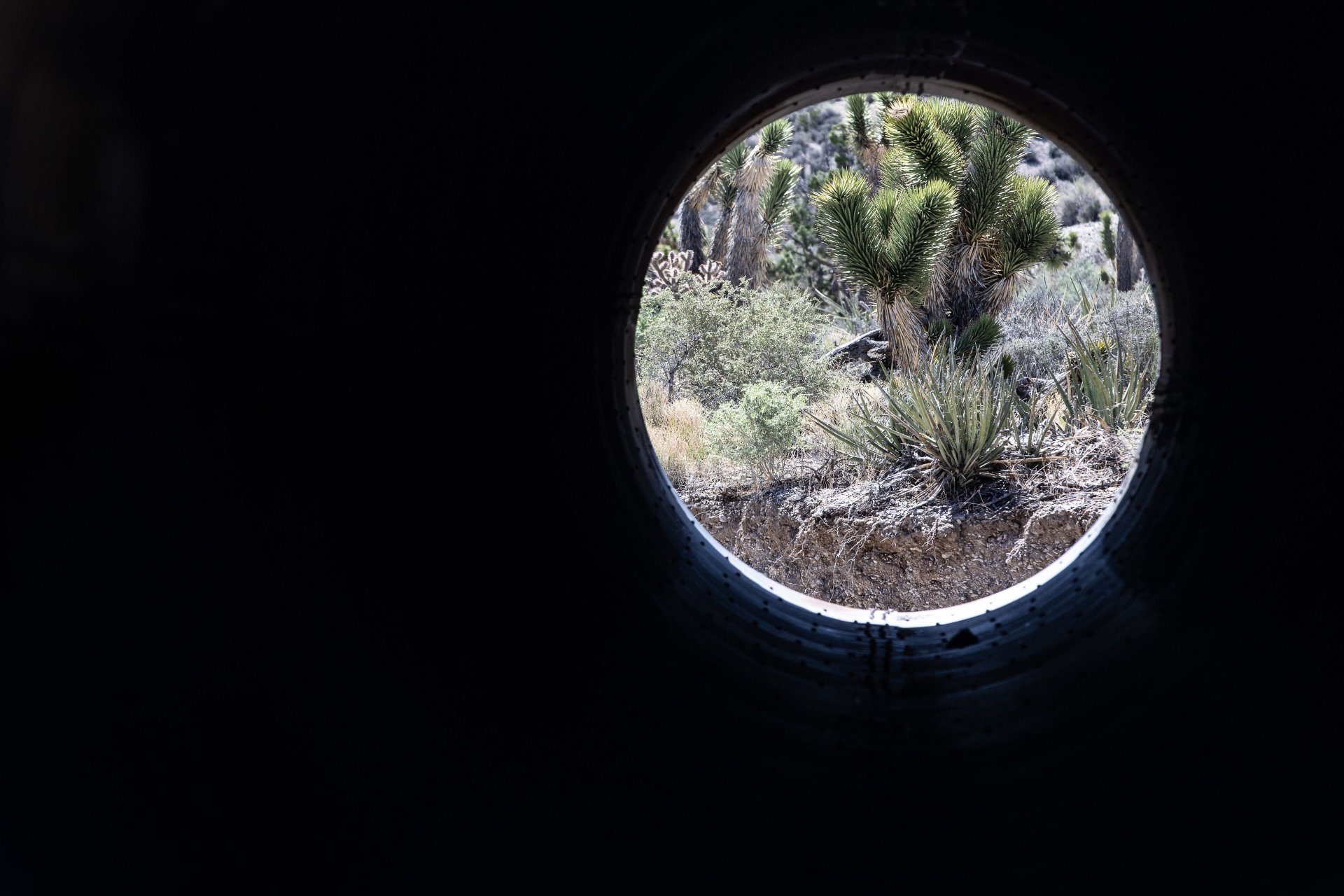 Home [www.robert-bals.de]