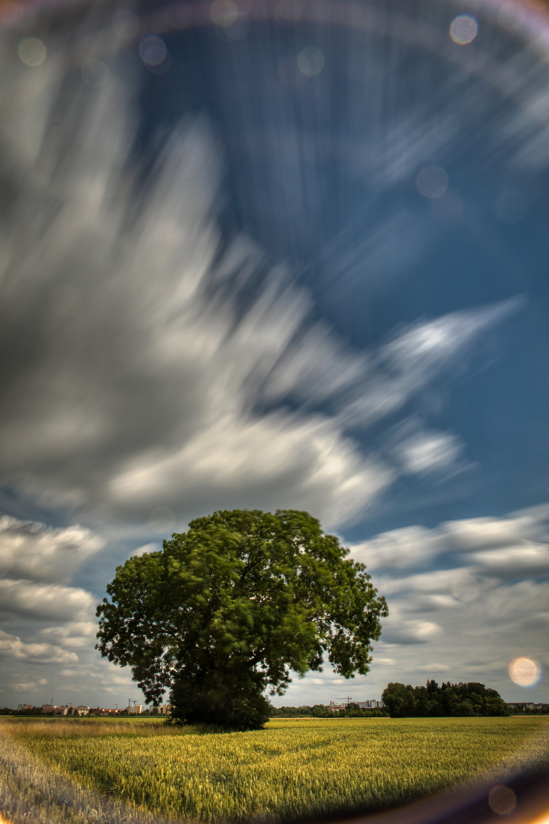 Home [www.robert-bals.de]