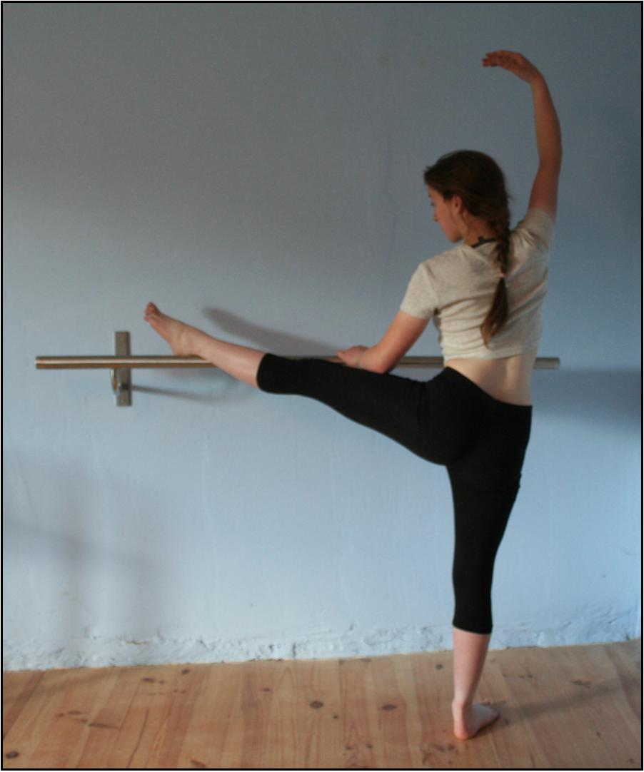 Stainless Steel Mobile & Wall Mounted Ballet Barres